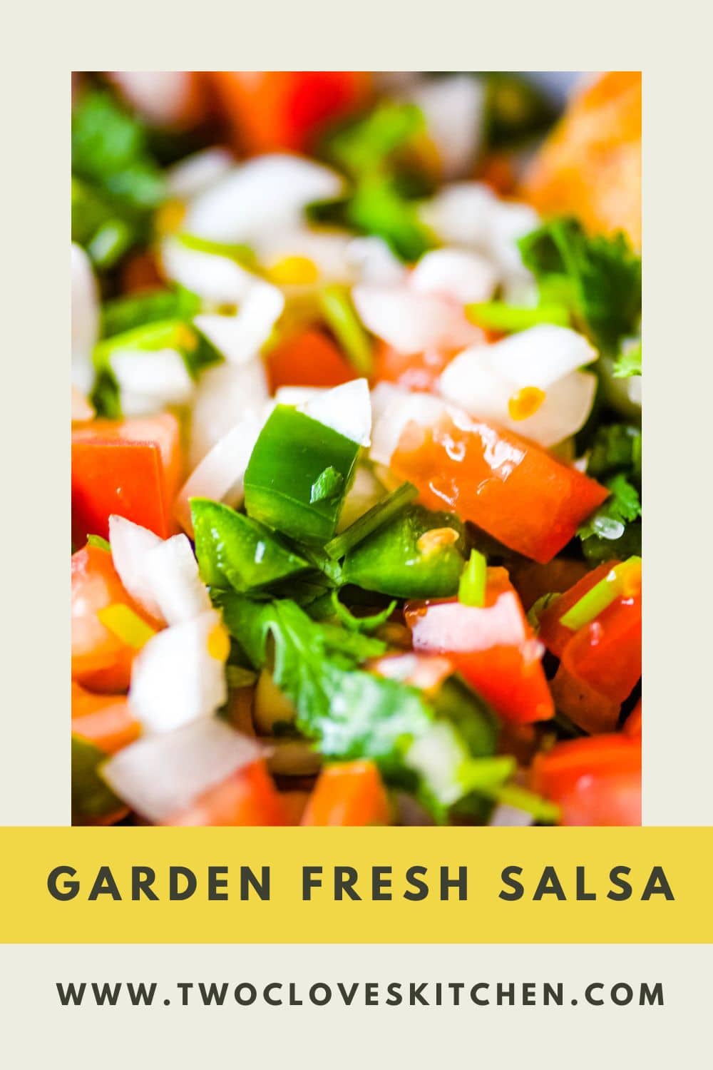 Fresh Garden Salsa Recipe (Pico de Gallo) - Two Cloves Kitchen