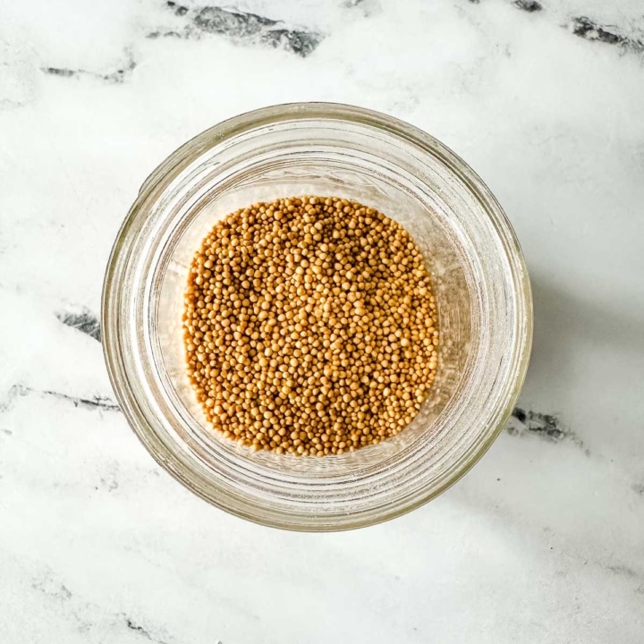 Homemade Pickled Mustard Seeds - Two Cloves Kitchen